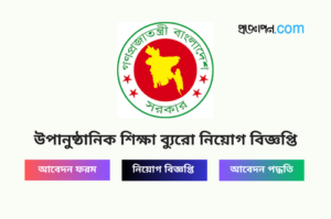BNFE Job Circular 2025 | bnfe.teletalk.com.bd Apply Now!