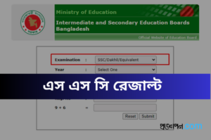 SSC Result 2024 Live Updates: How to Check SSC Results 2024 and ...